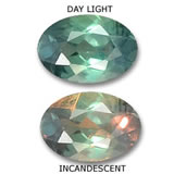 Alexandrite Gemstone Information - GemSelect