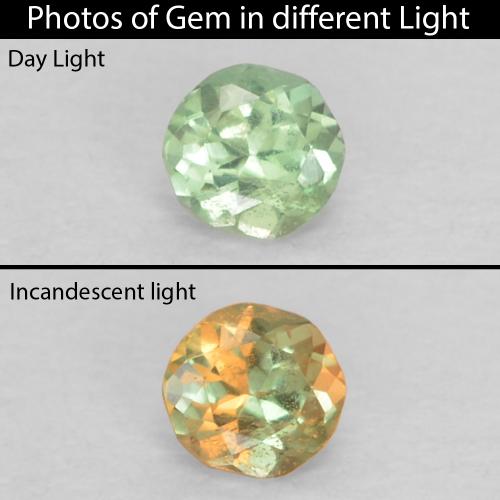 Alexandrite: Buy Loose Alexandrite at Affordable Prices from GemSelect