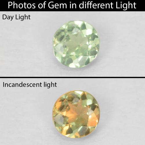 Alexandrite: Buy Loose Alexandrite at Affordable Prices from GemSelect