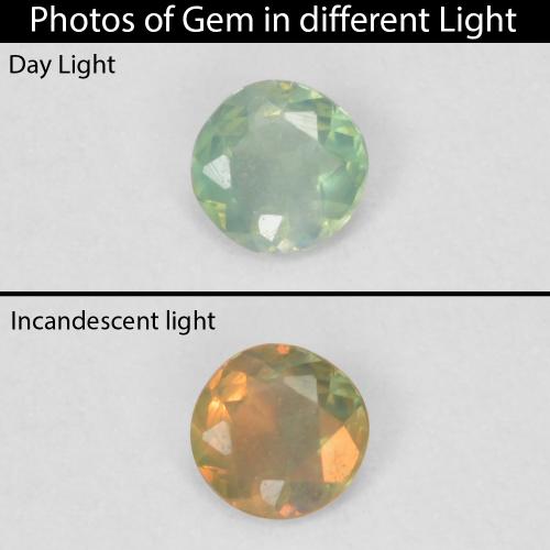 Alexandrite: Buy Loose Alexandrite at Affordable Prices from GemSelect