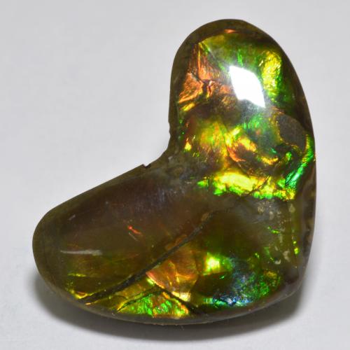 Loose Ammolite Gemstones for Sale - In Stock and ready to Ship | GemSelect