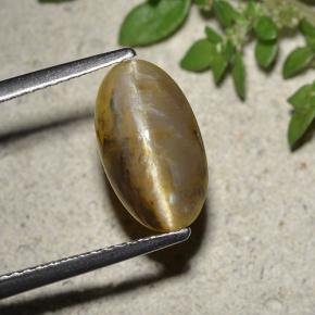 Cat's Eye Opal: Buy Cat's Eye Opal Gemstones