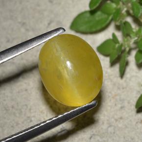 Cat's Eye Opal: Buy Natural Loose Cat's Eye Opal Gemstones at GemSelect