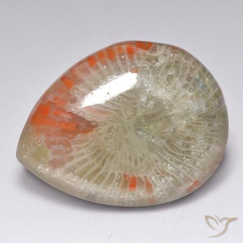 Pierre précieuse de corail poire de 9,84 carats | Corail certifié en ...