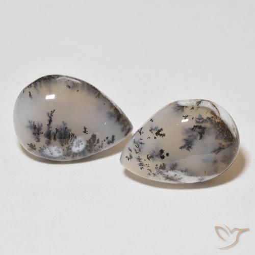Shop Loose Dendritic Agate - Natural Dendritic Agate Gemstones ...