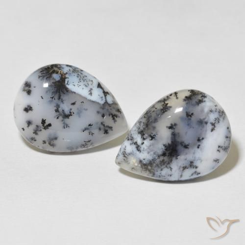 Dendritic Agate for Sale - In Stock and ready to Ship | GemSelect
