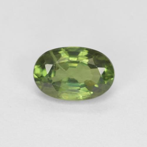 Buy Loose Green Sapphire Gemstones at Affordable Prices from GemSelect