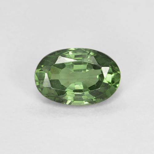 Buy Loose Green Sapphire Gemstones at Affordable Prices from GemSelect