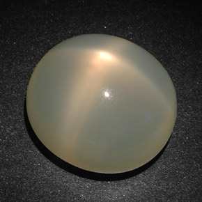 22.8 Carat Cream Star Moonstone Gem from India Natural and Untreated
