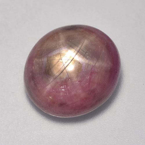 9.74ct Natural Reddish Purple Star Ruby, Oval, Opaque