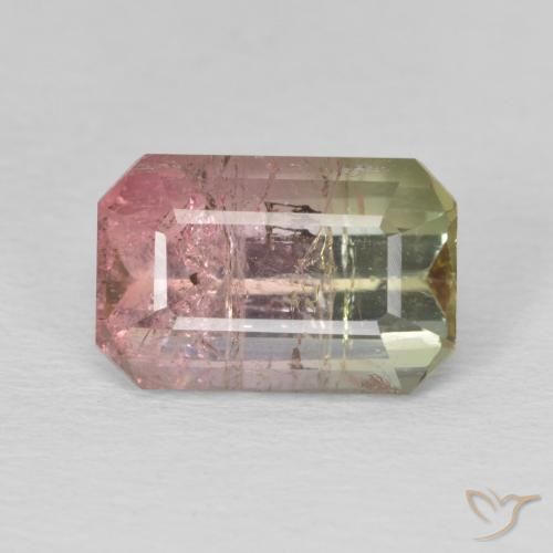 Buy Bi-Color Tourmaline at Affordable Prices from GemSelect