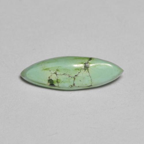 Loose Turquoise Gemstone for Sale - In Stock, ready to Ship | GemSelect