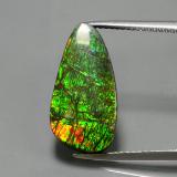 Ammolite: Natural Ammolite Fossil Gemstone & Jewelry Information; GemSelect