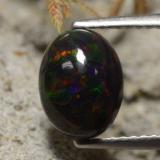 Black Opal: Opal Gemstone and Jewelry Information: GemSelect