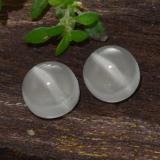 Cat's Eye Moonstone: Cat's Eye Moonstone Feldspar Education - GemSelect