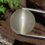 Cat's Eye Moonstone Gemstone Information - GemSelect