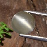 Cat's Eye Moonstone: Cat's Eye Moonstone Feldspar Education - GemSelect