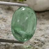 Fluorite: Buy Loose Fluorite Gemstones at Wholesale Prices from GemSelect