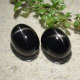 Star Diopside; Phenomenal Black Star of India Gemstone: GemSe;ect