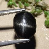 Star Diopside; Phenomenal Black Star of India Gemstone: GemSe;ect