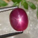 Star Ruby Gemstone Information